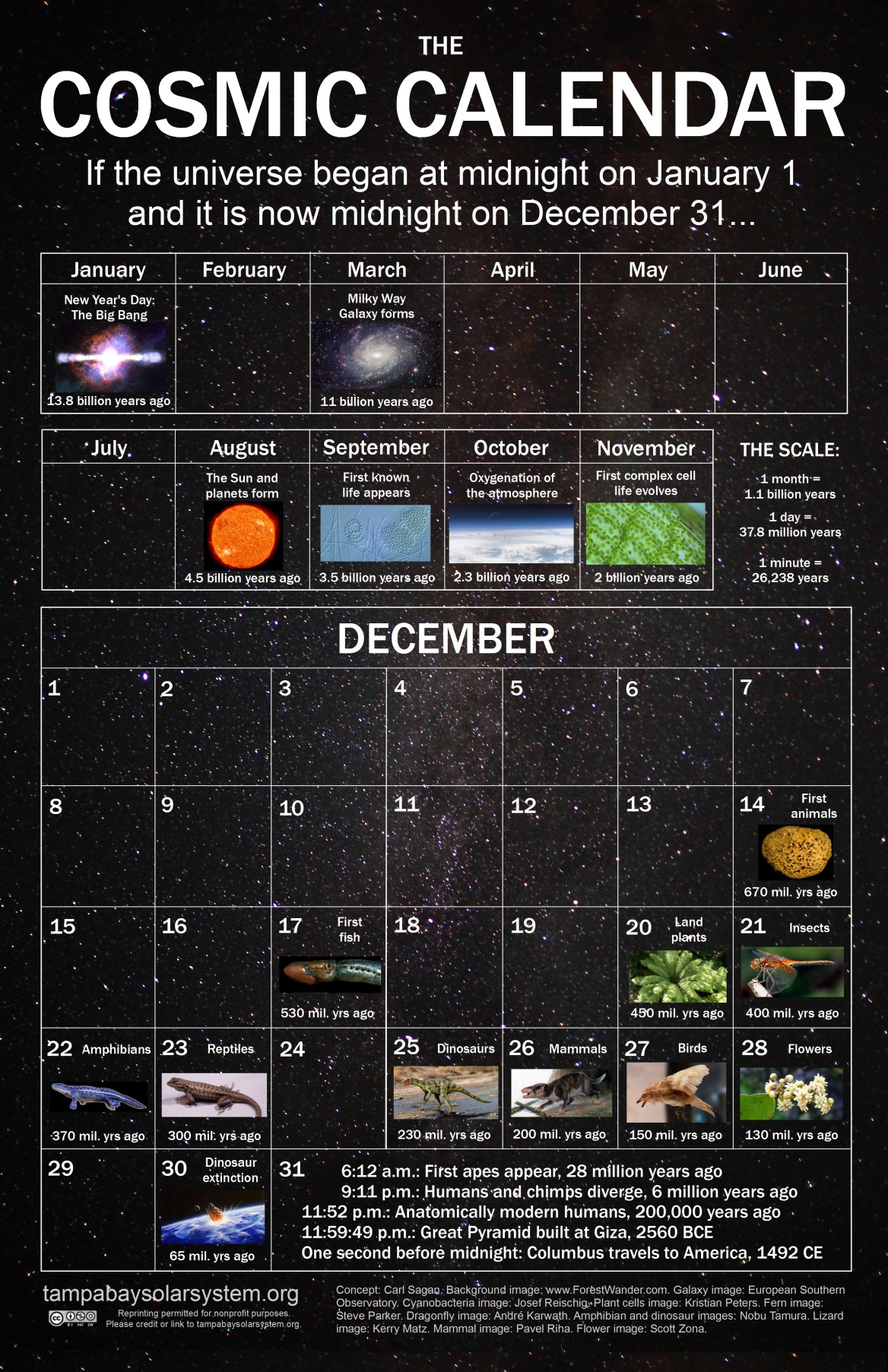 Cosmic Calendar | Tampa Bay Solar System